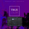 True Soul Vibes